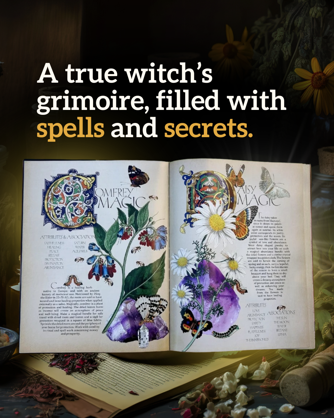 Secret Grimoire of Plant and Crystal Magic | The Witches Circle – TheWitchesCircle