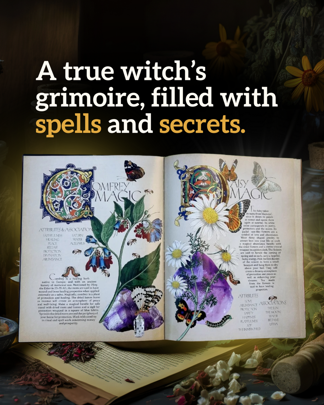 The Witches Circle | Modern Witchcraft Community & Spells ...