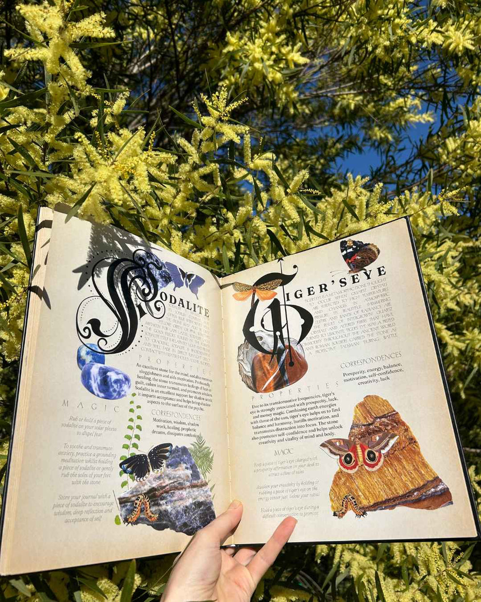 Secret Grimoire of Plant and Crystal Magic | The Witches Circle – TheWitchesCircle