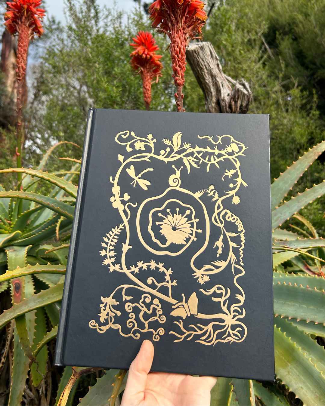 Secret Grimoire of Plant and Crystal Magic | The Witches Circle – TheWitchesCircle