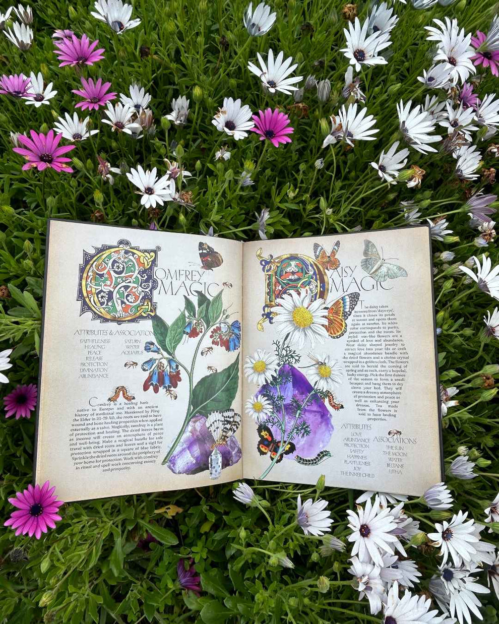 Secret Grimoire of Plant and Crystal Magic | The Witches Circle – TheWitchesCircle