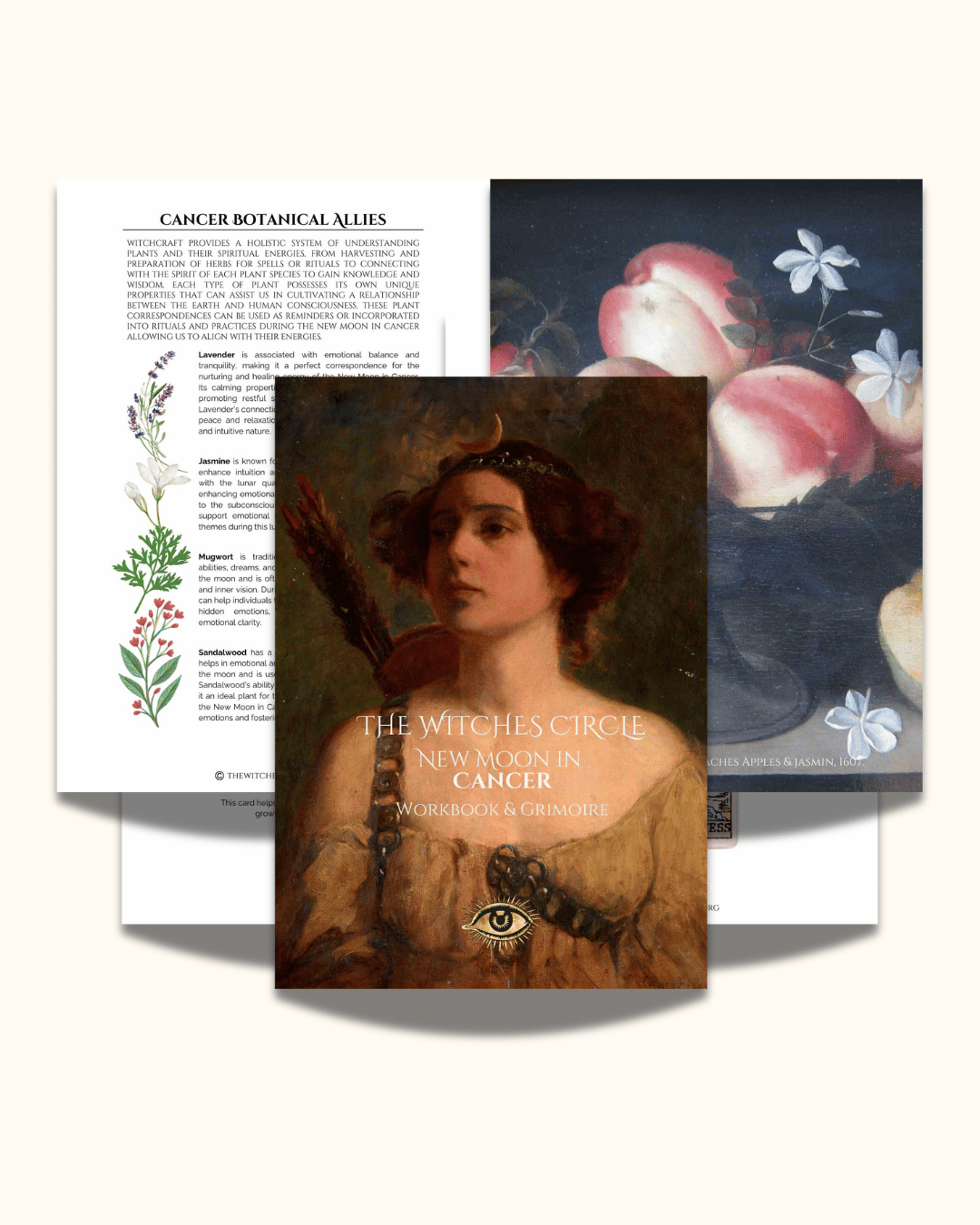 Secret Grimoire of Plant and Crystal Magic – TheWitchesCircle